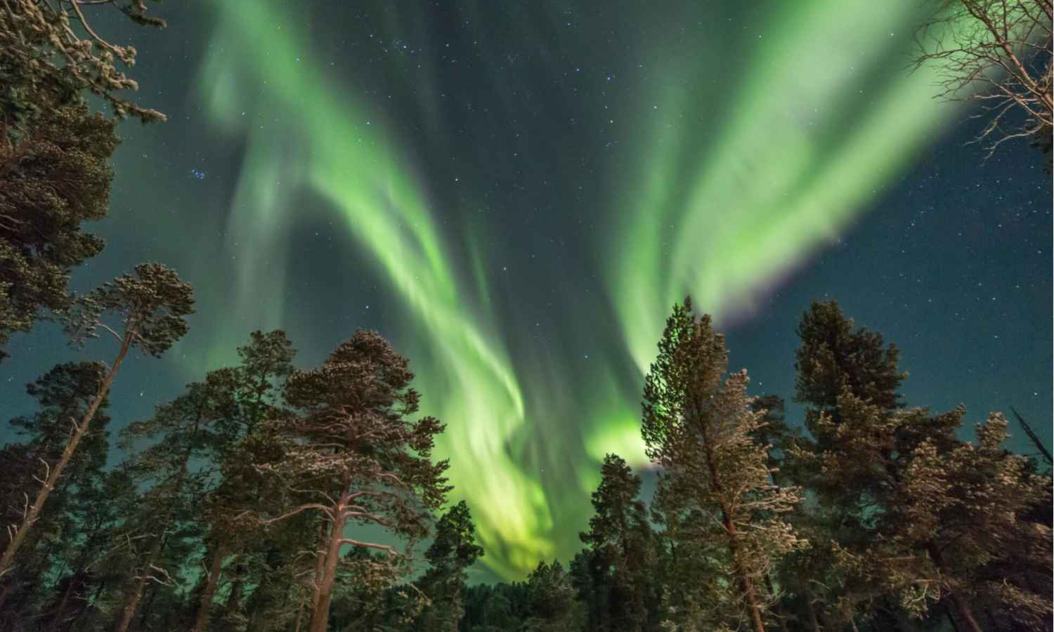 Finland’s Path to Carbon Neutrality: A Vision for a Sustainable Future ...